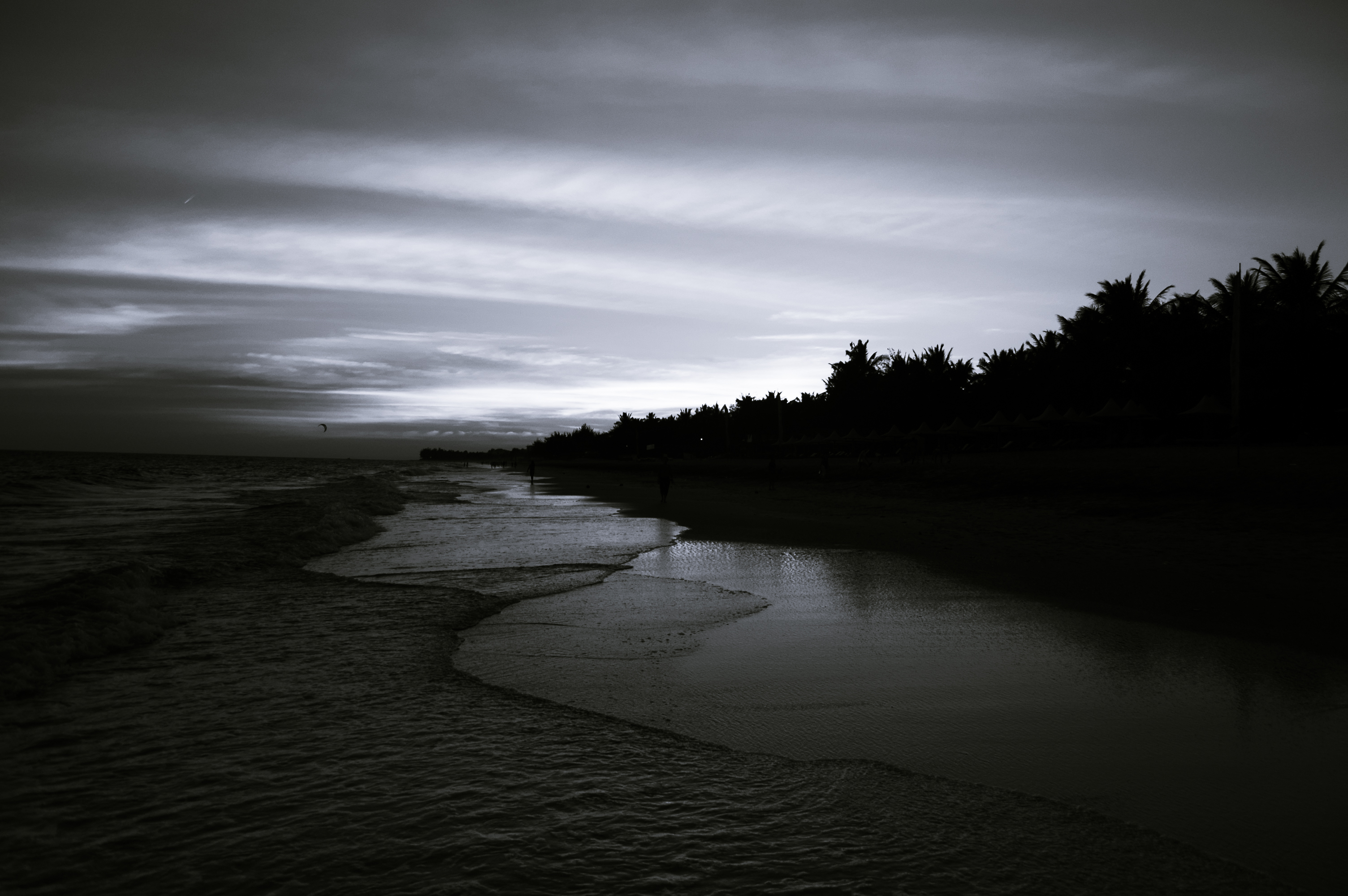 Blackwater.live Community | Finance | Culture